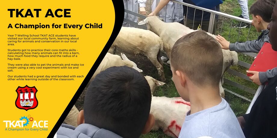 TKAT ACE Programme - Welling School